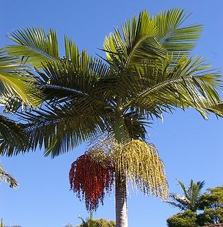 PlantFile