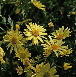 Plantfile Tafe Login